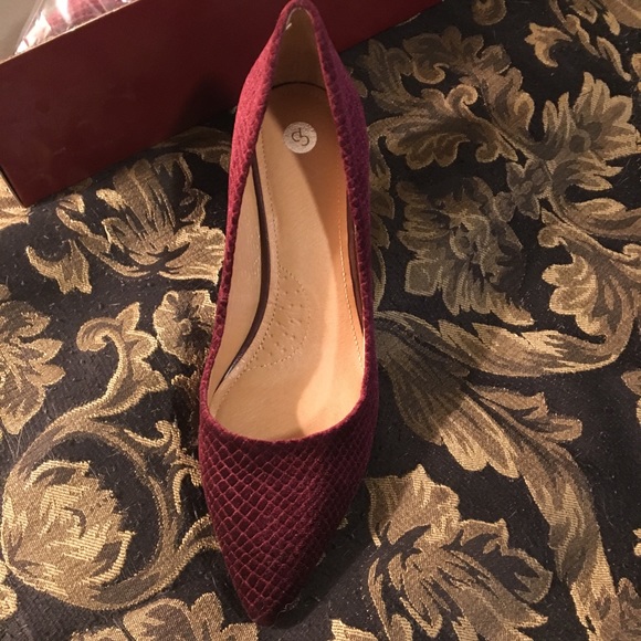 Dress Barn | Shoes | Dress Barn Velvet Patterned Pumps | Poshmark